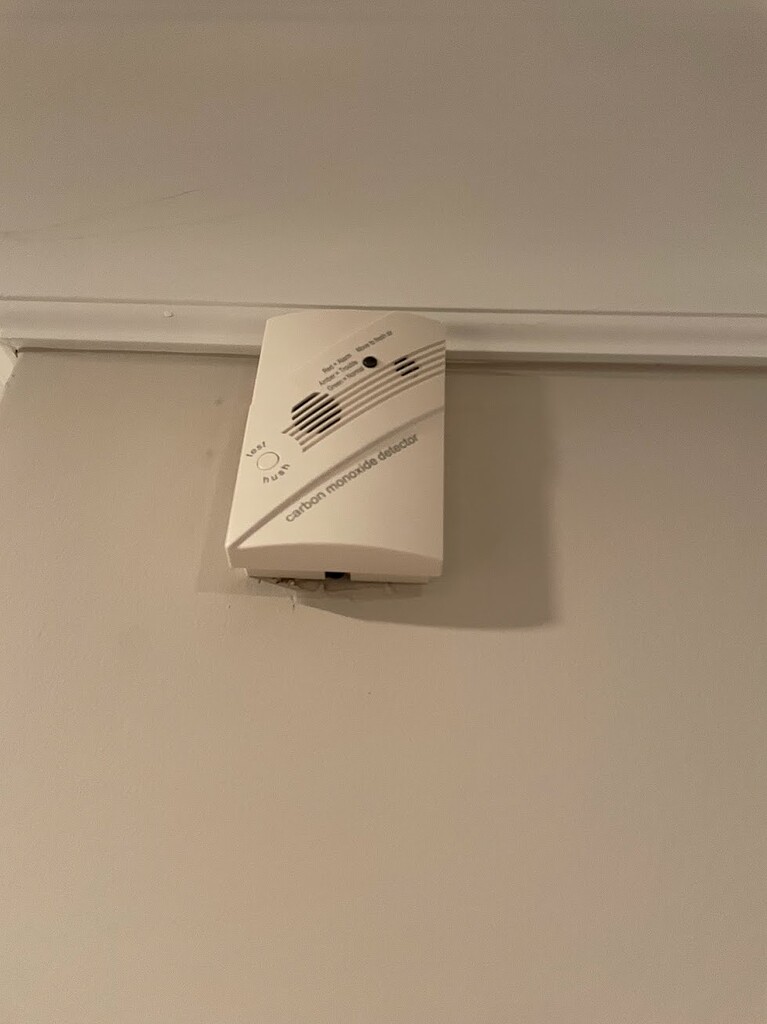 Concord 4 CO gas sensor false alarm - Support - Surety Support Forum